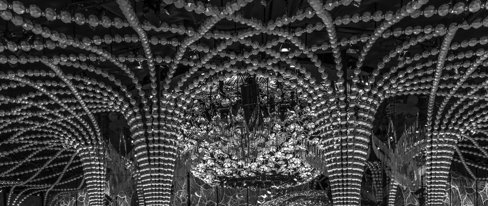 Designlab Experience