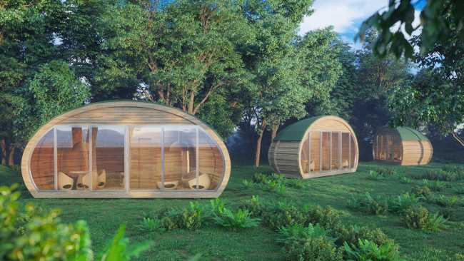 SEED, the ecological suite designed to experience the essence of tree ...