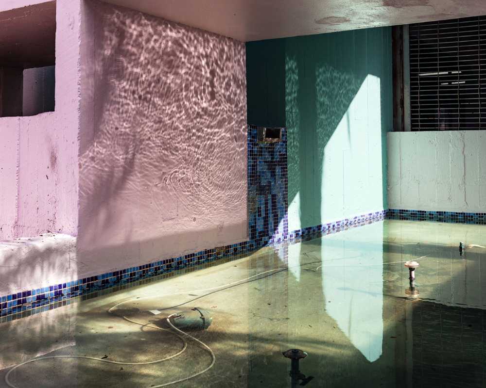 Photography and Ecosystem in Miami. The transformation of the coast ...