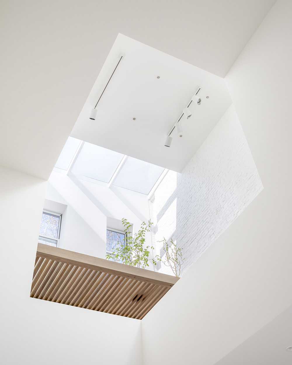 Interior renovation in Brooklyn. Triple-height space at the center of ...